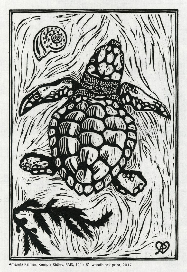 Wander Artist & Tabula Rasa Studio – the artist with wanderlust… musing ...